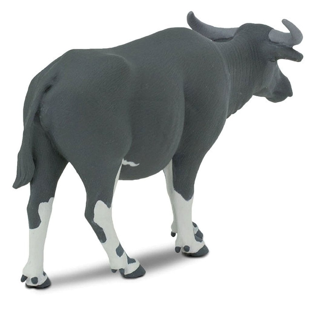 Safari Ltd Carabao – Animal Kingdoms Toy Store