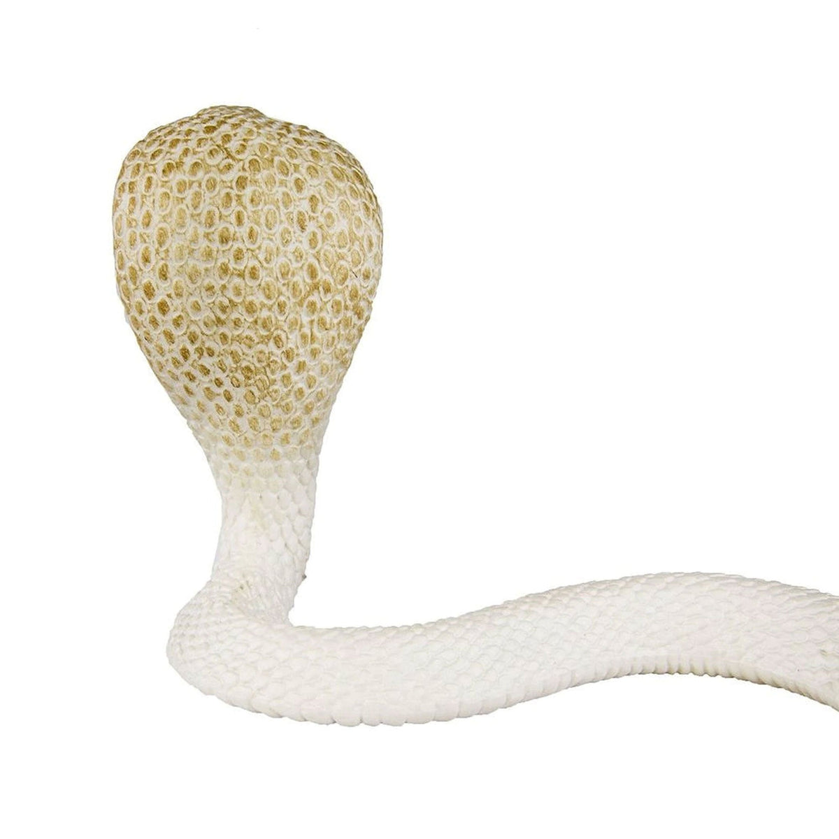 Safari Ltd White Cobra – Animal Kingdoms Toy Store