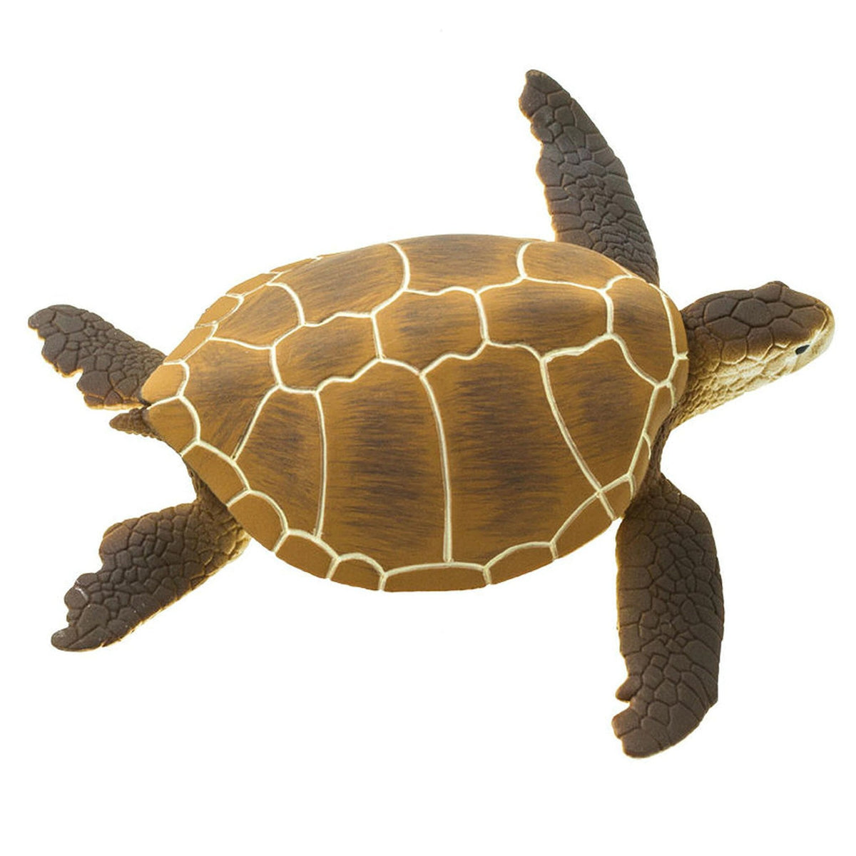 Safari Ltd Green Sea Turtle – Animal Kingdoms Toy Store
