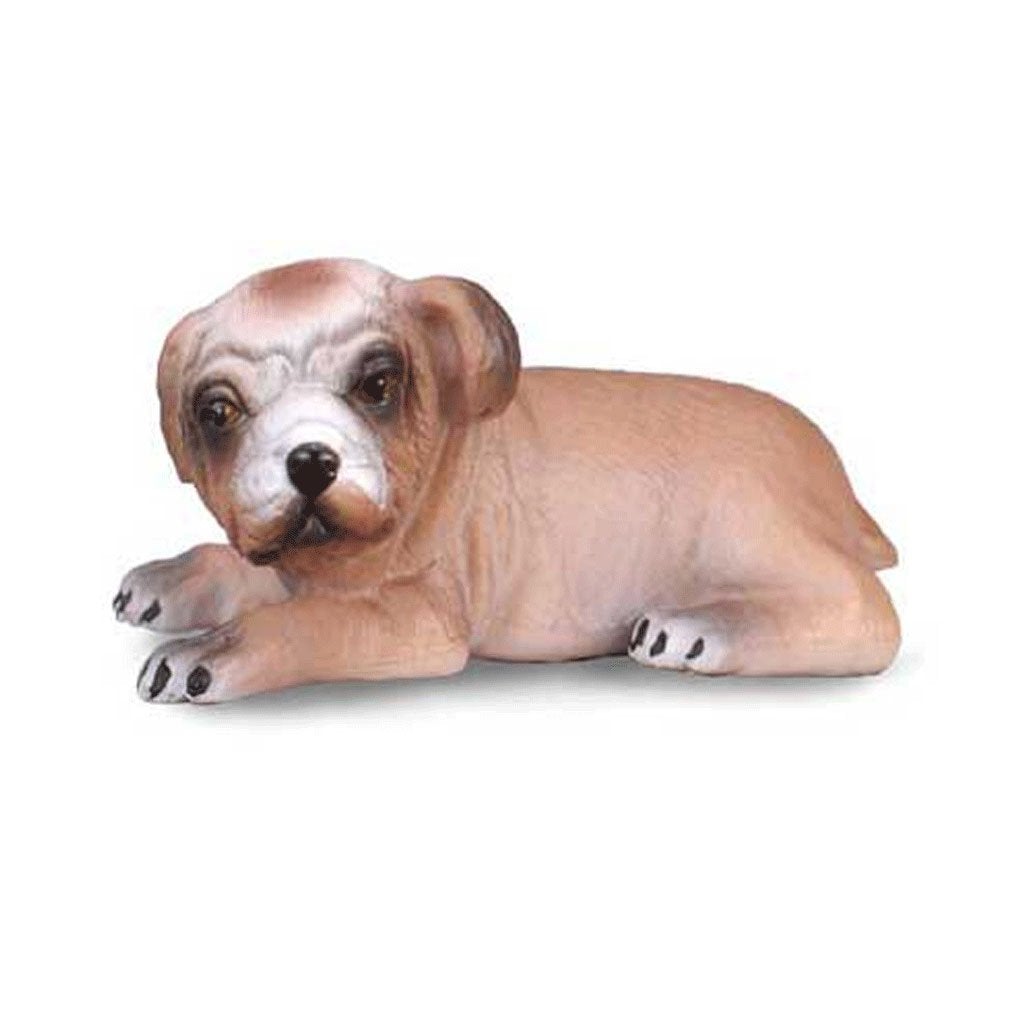 CollectA Bulldog Puppy – Animal Kingdoms Toy Store