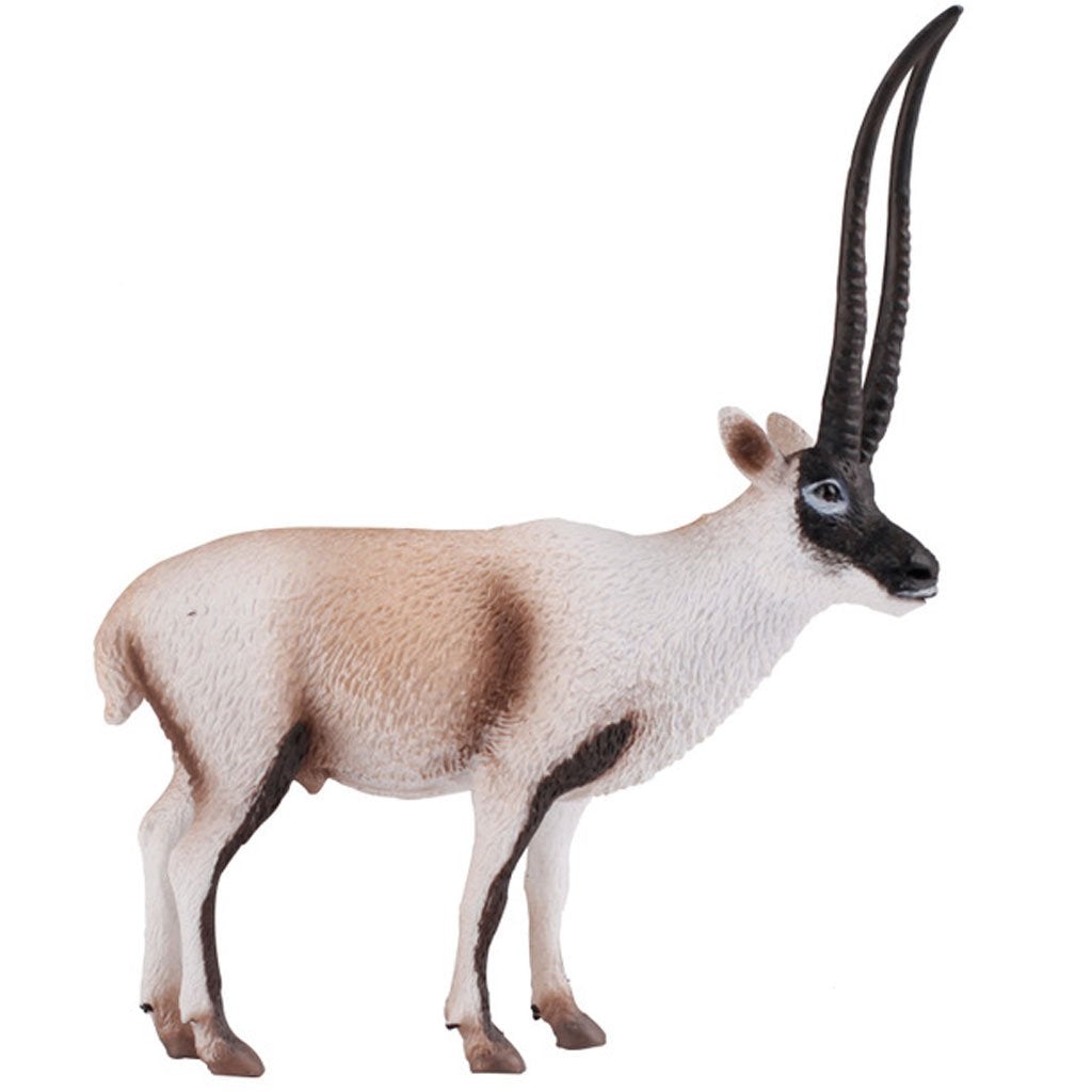 CollectA Chiru – Animal Kingdoms Toy Store