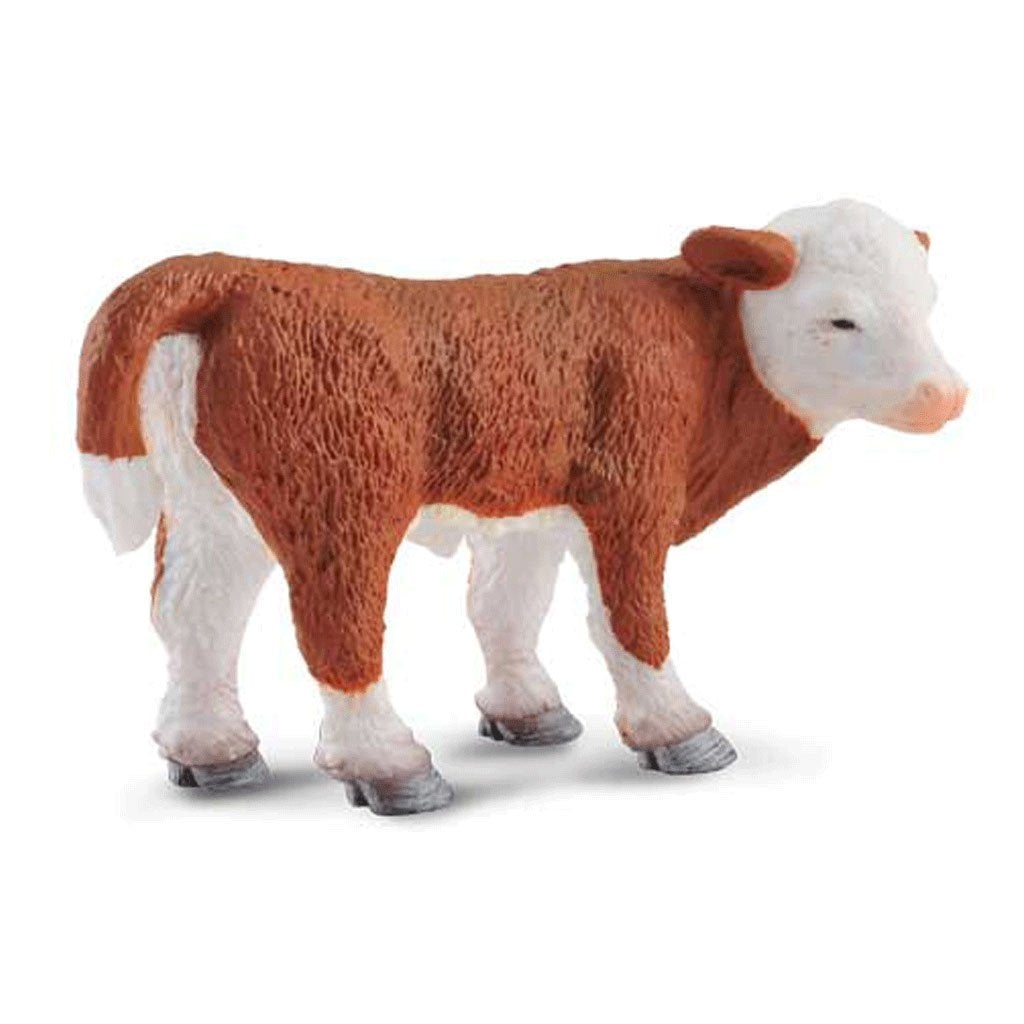 CollectA Hereford Calf Standing – Animal Kingdoms Toy Store