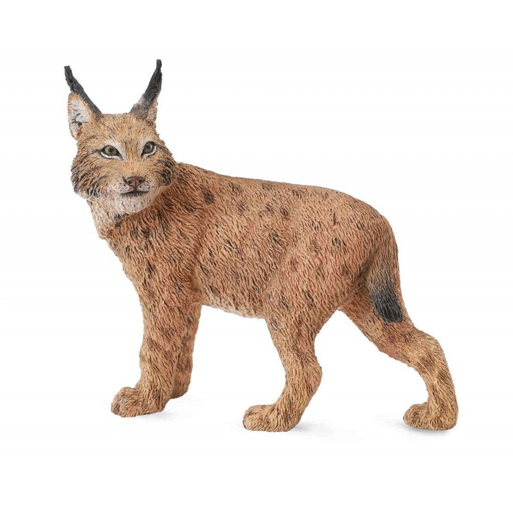 CollectA Lynx – Animal Kingdoms Toy Store