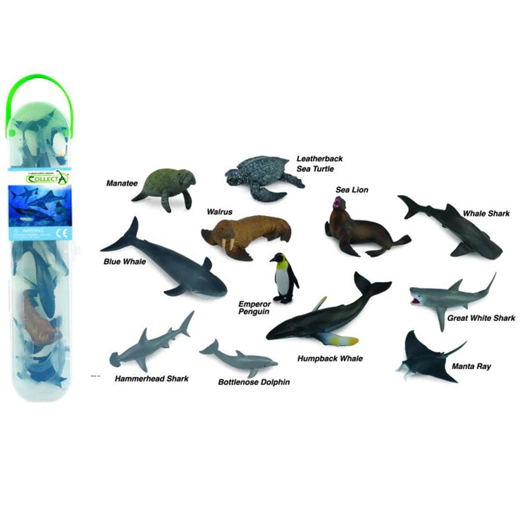 CollectA Mini Sea Life Tube 12 Piece (B) – Animal Kingdoms Toy Store