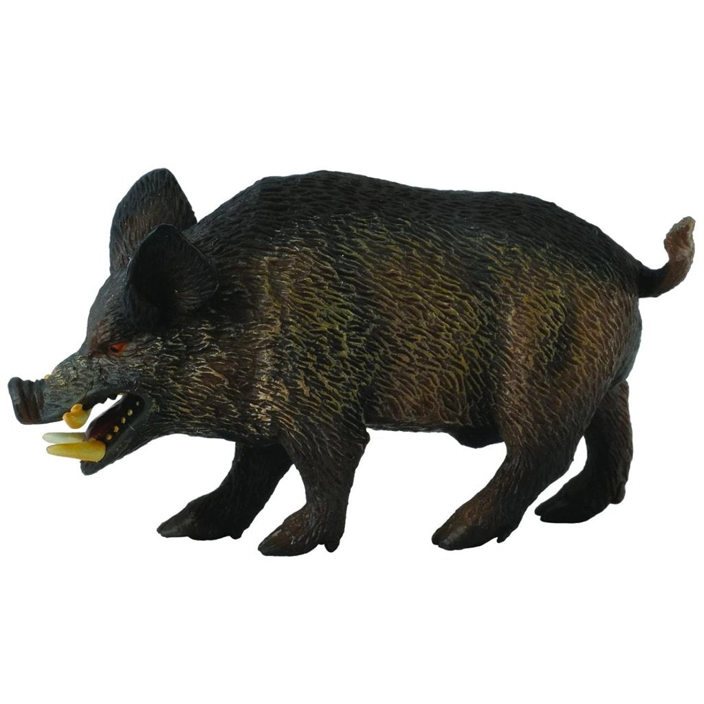 CollectA Wild Boar – Animal Kingdoms Toy Store