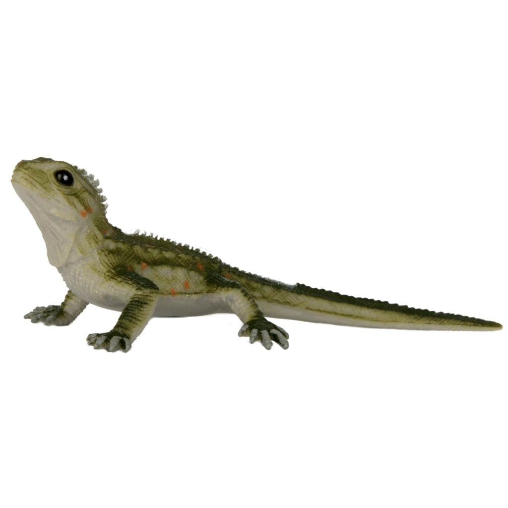 New Zealand Tuatara – Animal Kingdoms Toy Store