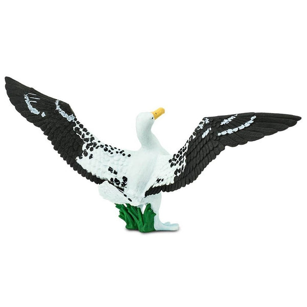 Safari Ltd Giant Albatross – Animal Kingdoms Toy Store