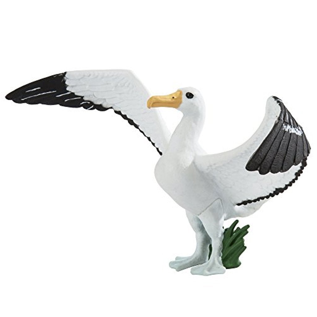 Safari Ltd Giant Albatross – Animal Kingdoms Toy Store