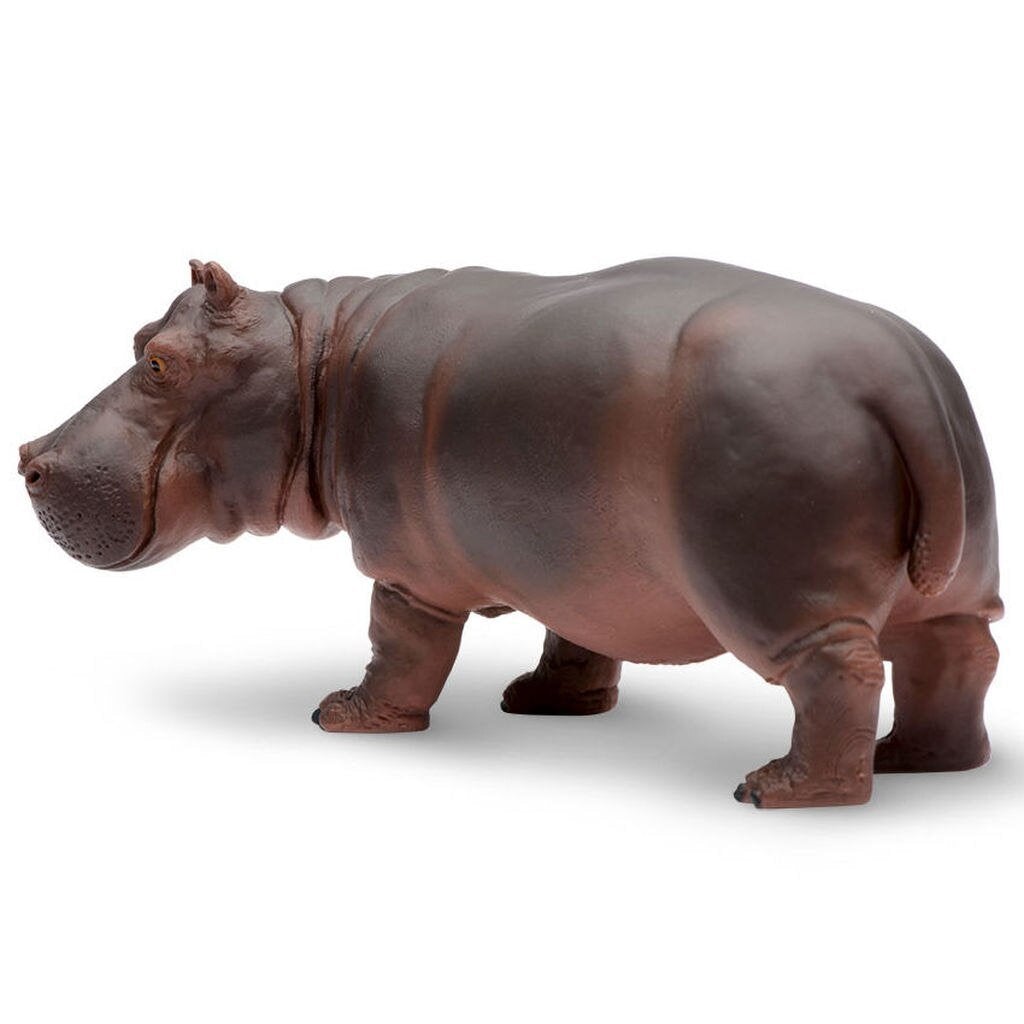 Safari Ltd Hippopotamus – Animal Kingdoms Toy Store