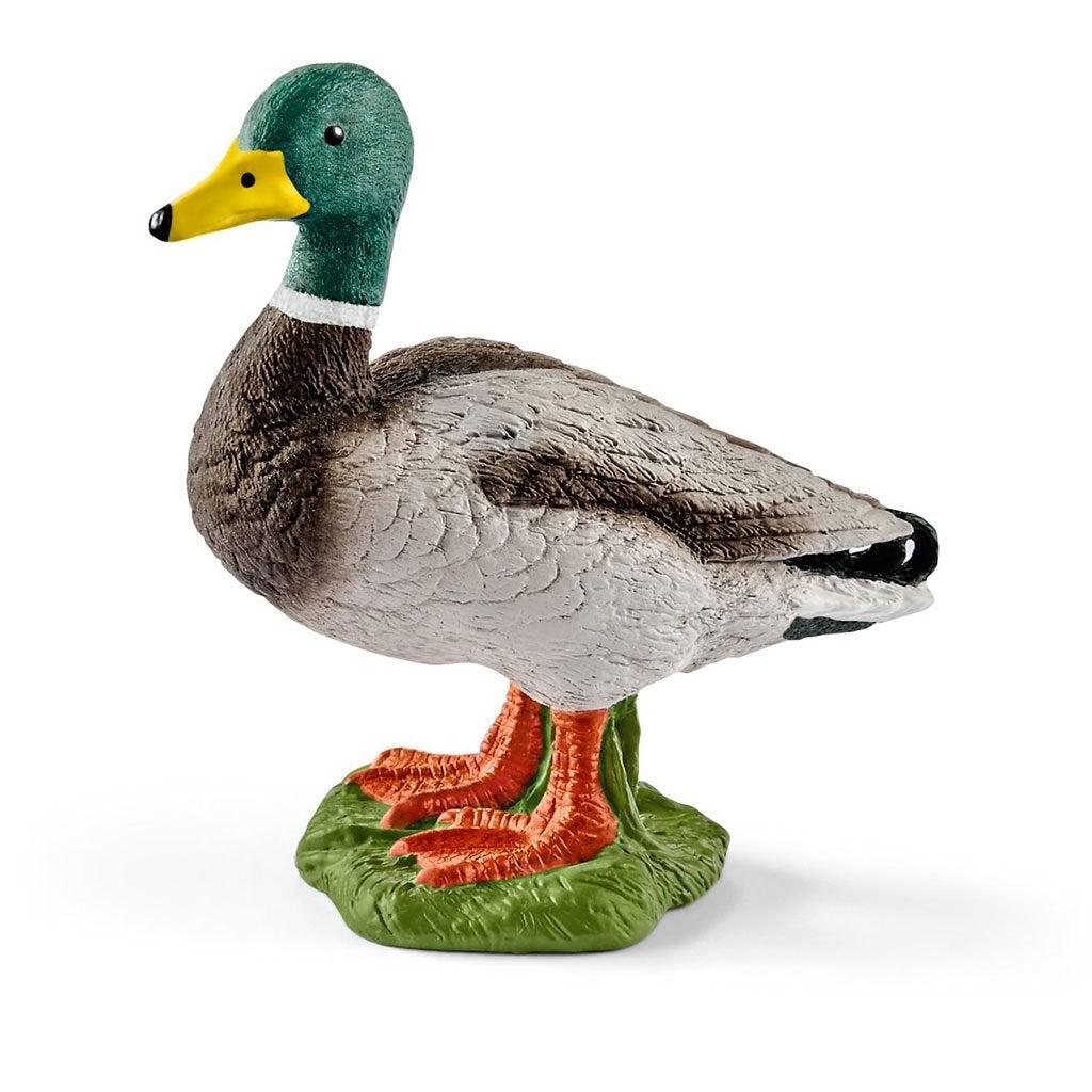 Schleich - Animal Kingdoms NZ – Animal Kingdoms Toy Store
