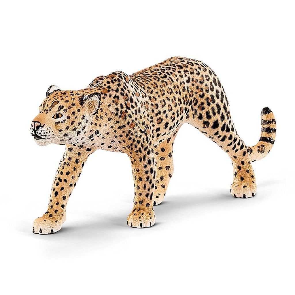 Schleich Leopard – Animal Kingdoms Toy Store
